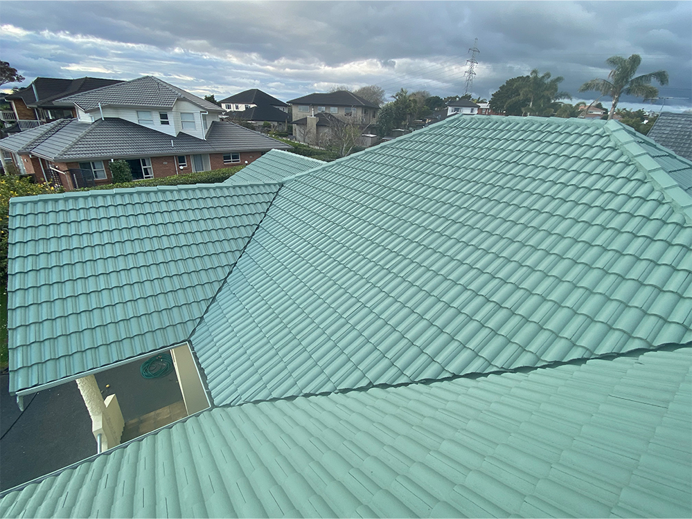 Roof Painting - Master Roofing